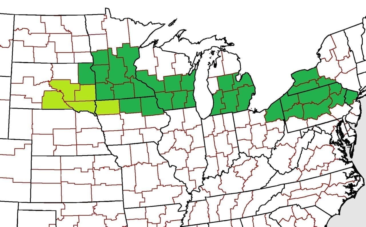 INTEGRA Corn 5052 | Wilbur-Ellis