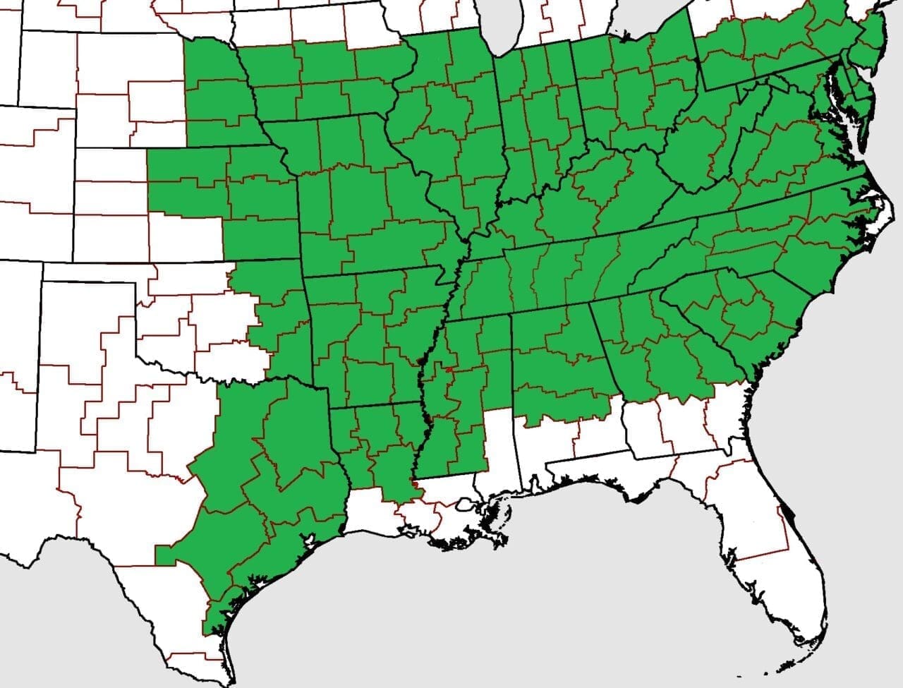 INTEGRA Corn 6342 | Wilbur-Ellis
