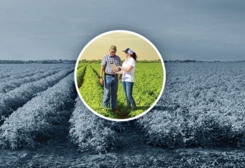 Wilbur-Ellis | Agribusiness