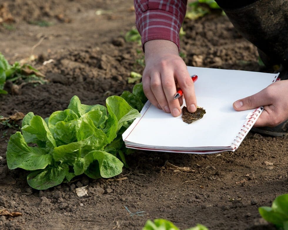 Service - Soil Sampling | Wilbur-Ellis