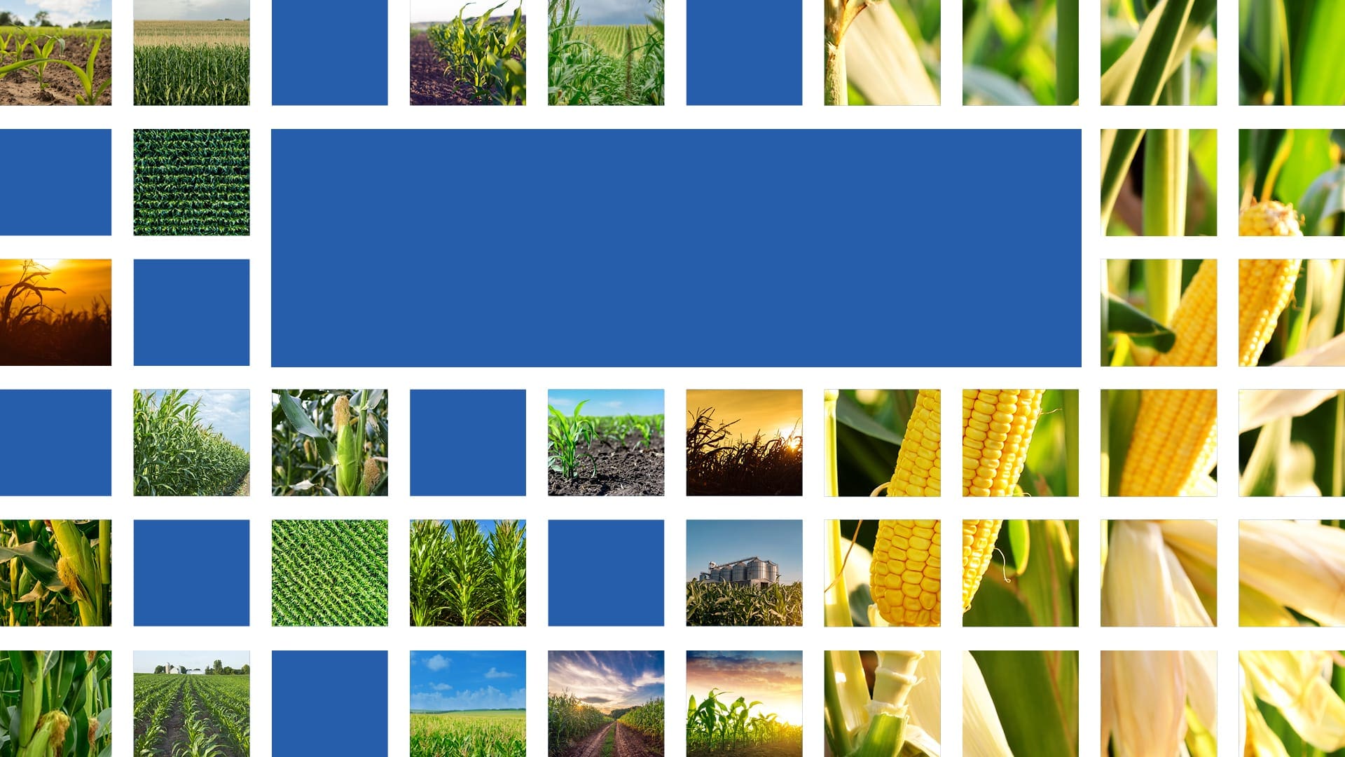 INTEGRA® Seed | Wilbur-Ellis