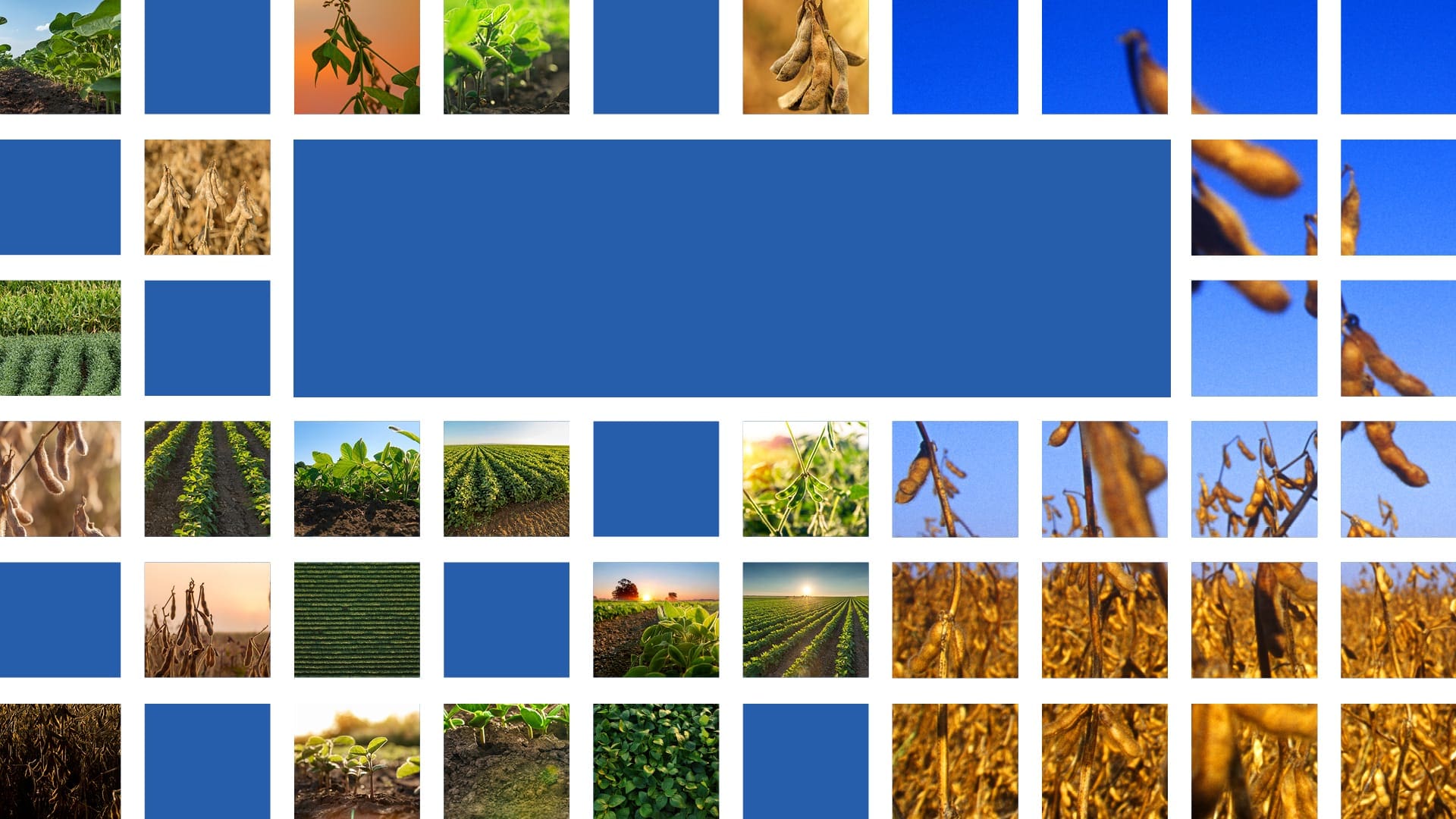 INTEGRA® Seed | Wilbur-Ellis