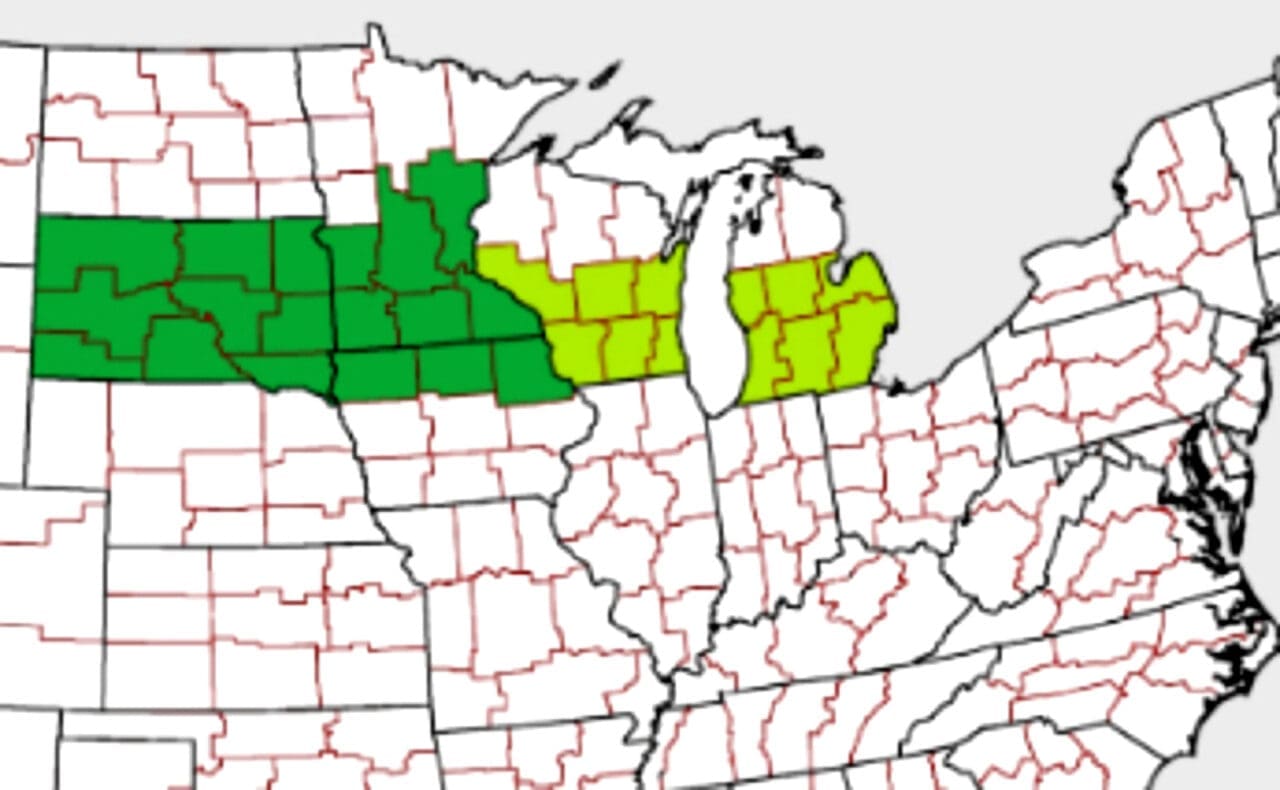 INTEGRA Soybean XF1803 | INTEGRA Seed, INTEGRA Soybean Variety
