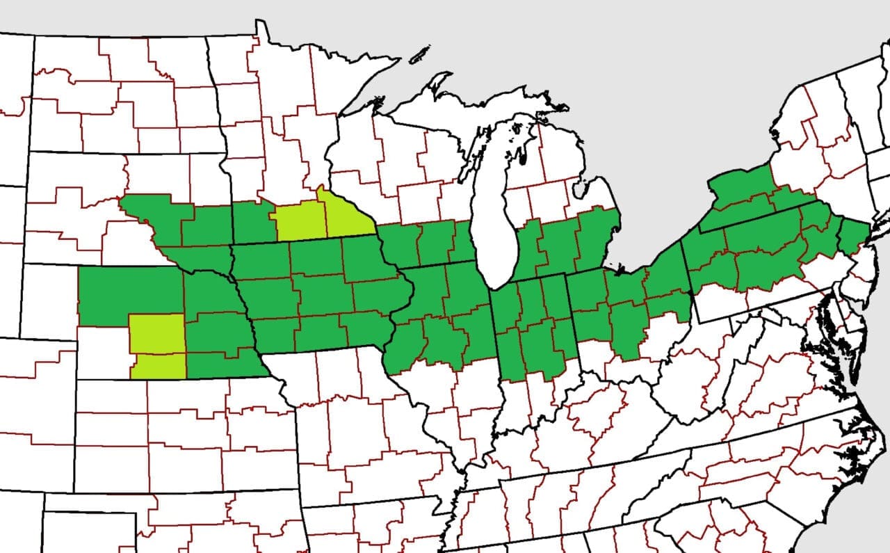 INTEGRA Soybean XF2724 | INTEGRA Seed, INTEGRA Soybean Variety