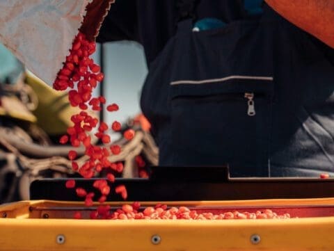 INTEGRA® Seed | Wilbur-Ellis