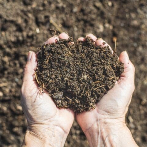 Back to Basics: Ways to Measure and Improve Soil Health | Wilbur-Ellis