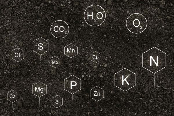 Soil Nutrients and Uptake | Wilbur-Ellis
