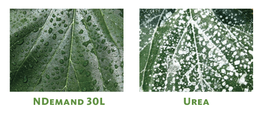 What is Humectancy and Why is it Important? | Wilbur-Ellis